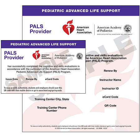 BLS, ACLS, PALS, CPR & First Aid Training School | Lifework Education